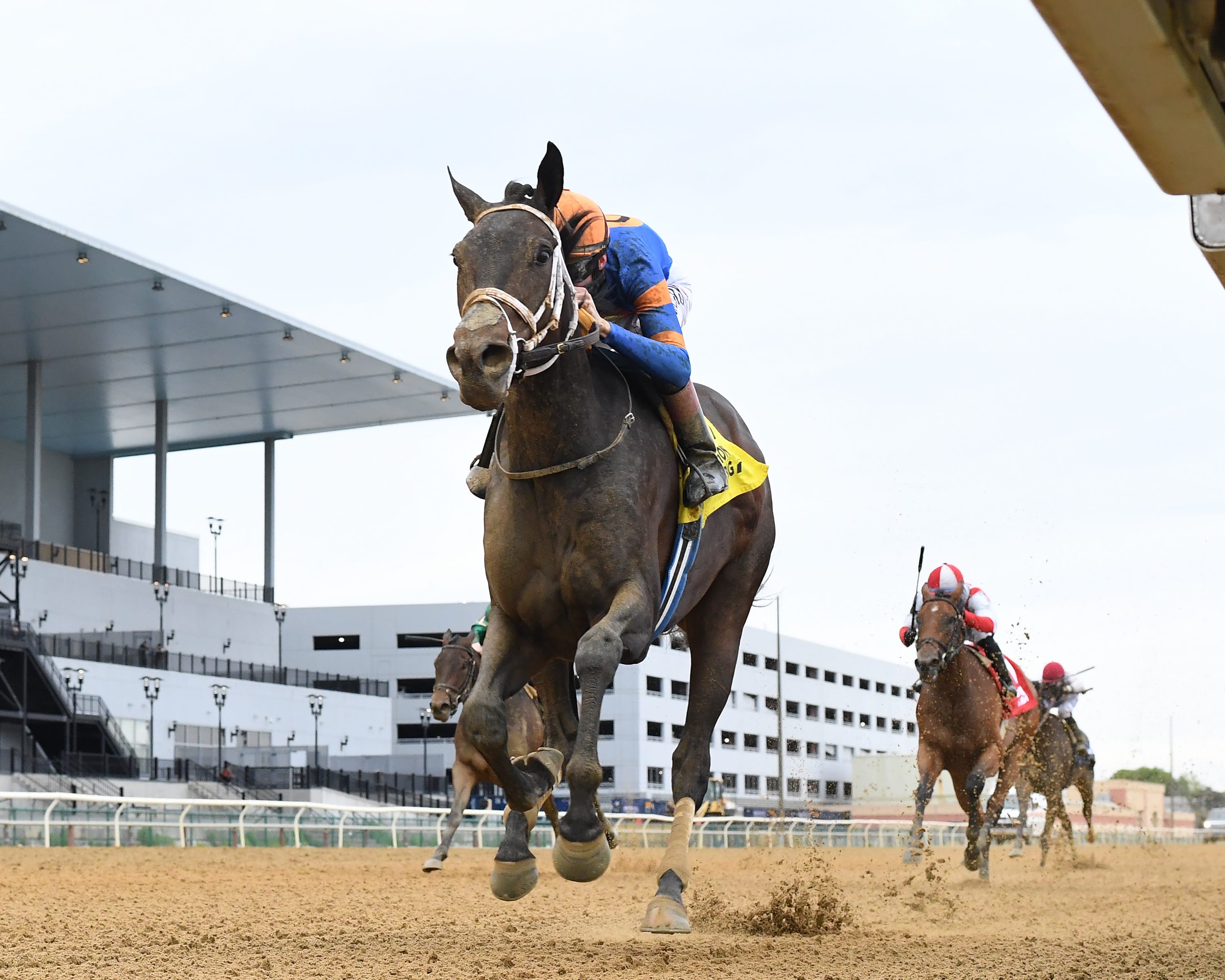 Soul of an Angel springs upset over Randomized in Ruffian